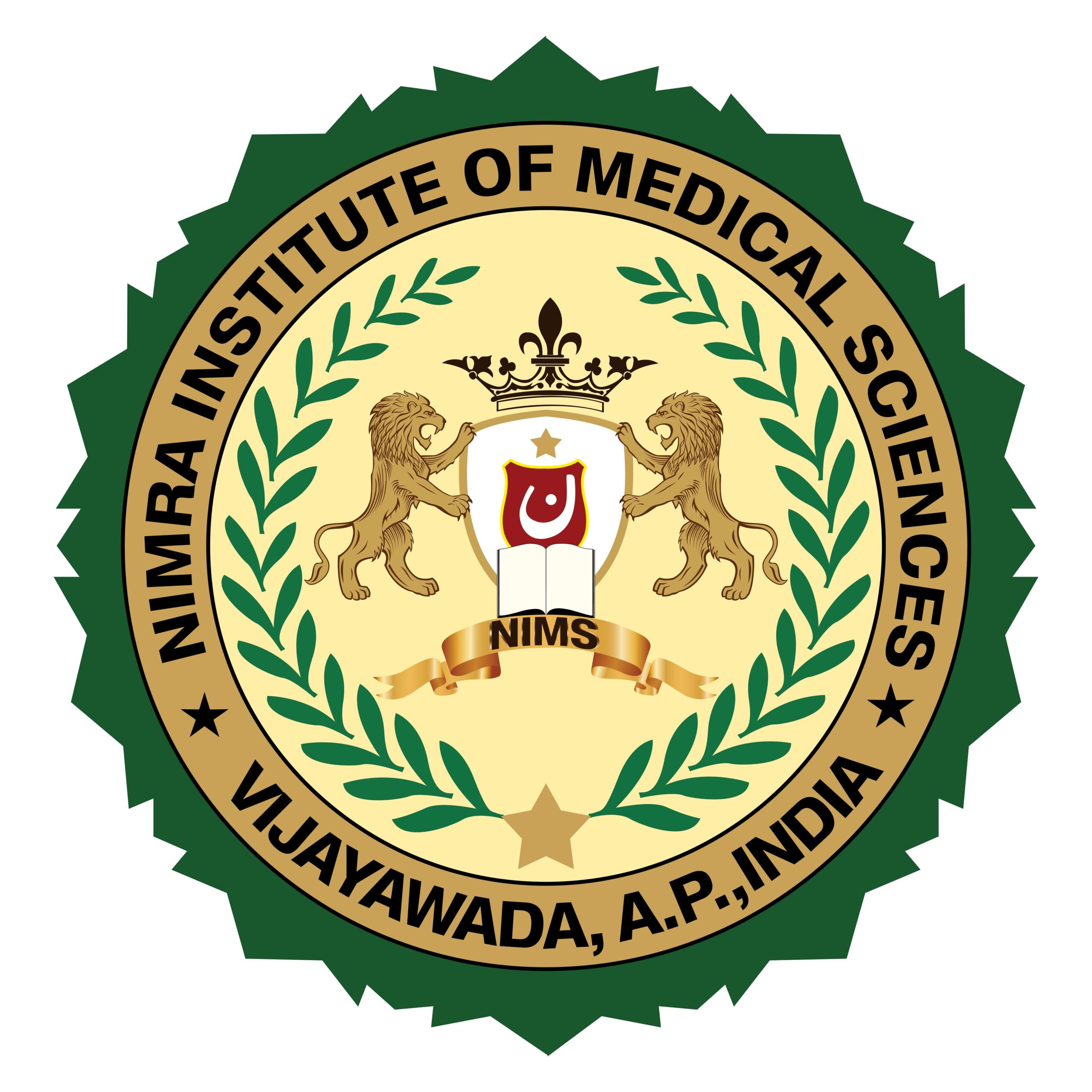 Nimra Logo